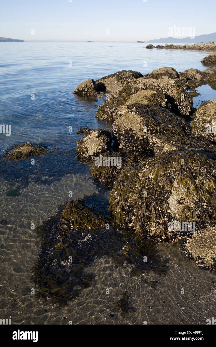 A view of English Bay Stock Photo - Alamy