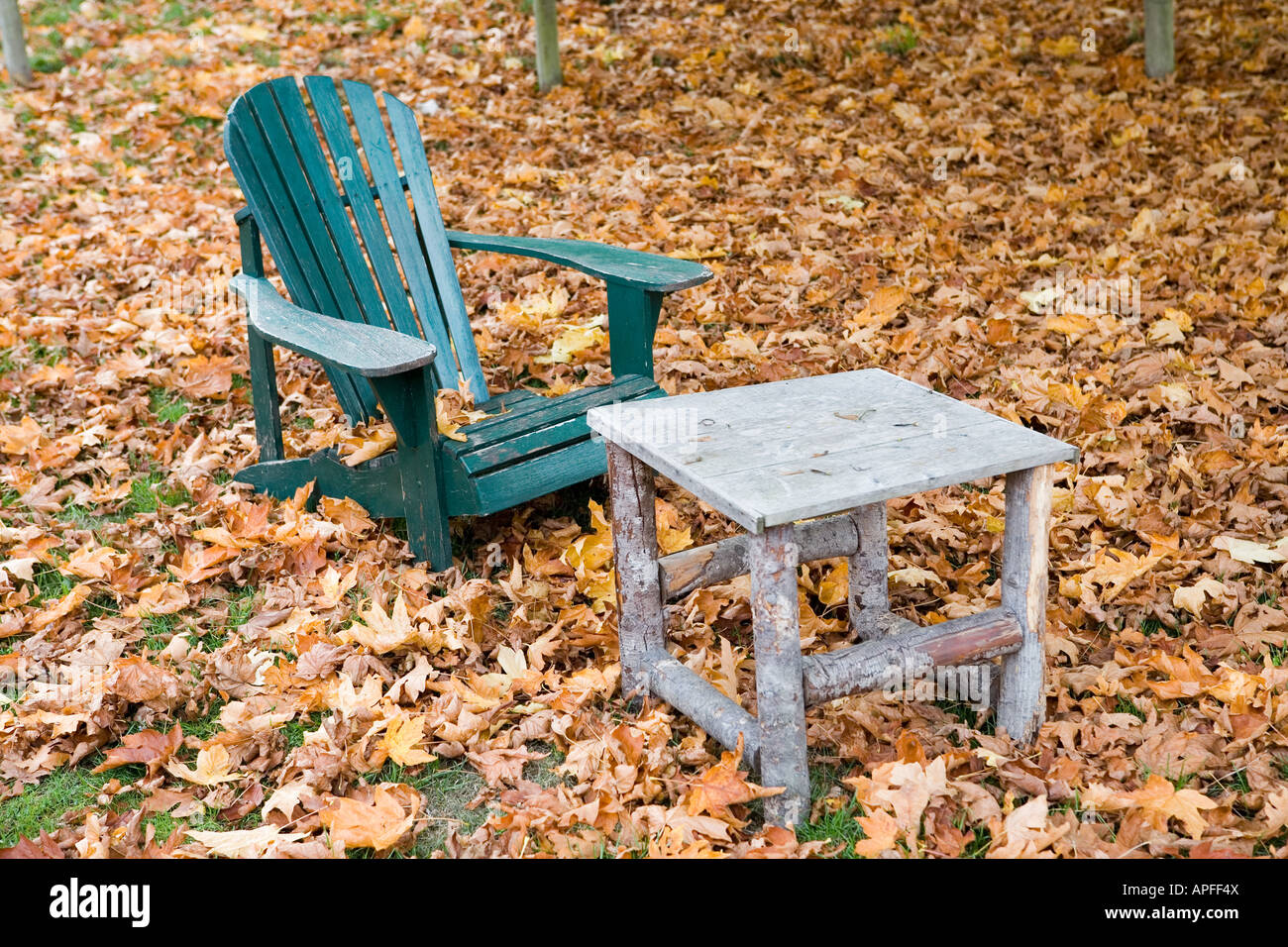 A chair sits in a pile of leaves on a fall day Stock Photo - Alamy