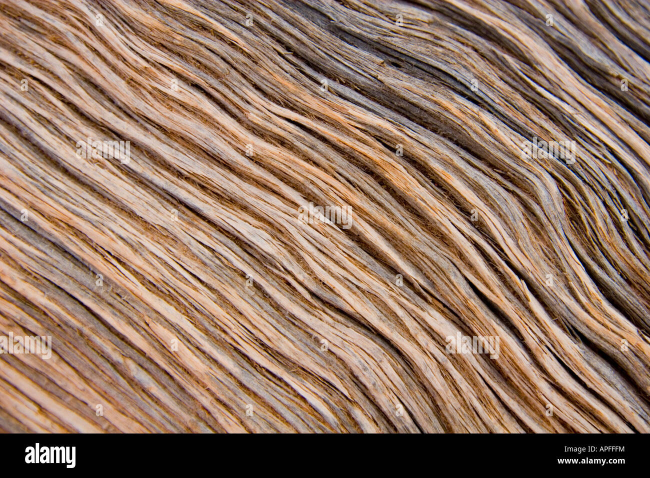 Sand blasted wood showing wood grain and rings Stock Photo - Alamy