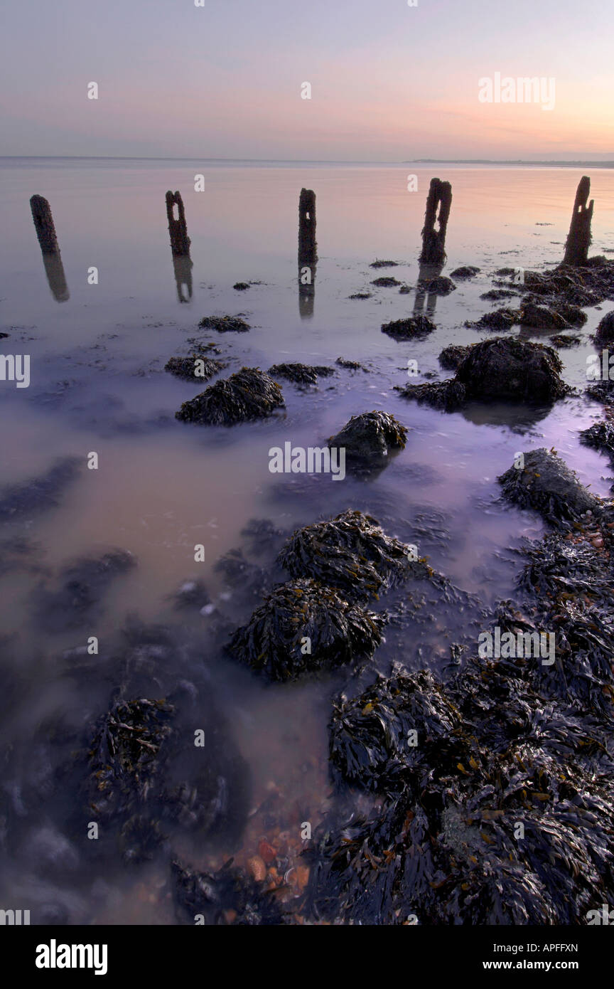 Seaweed covered rocks and wave breakers along The Swale at dawn Looking ...