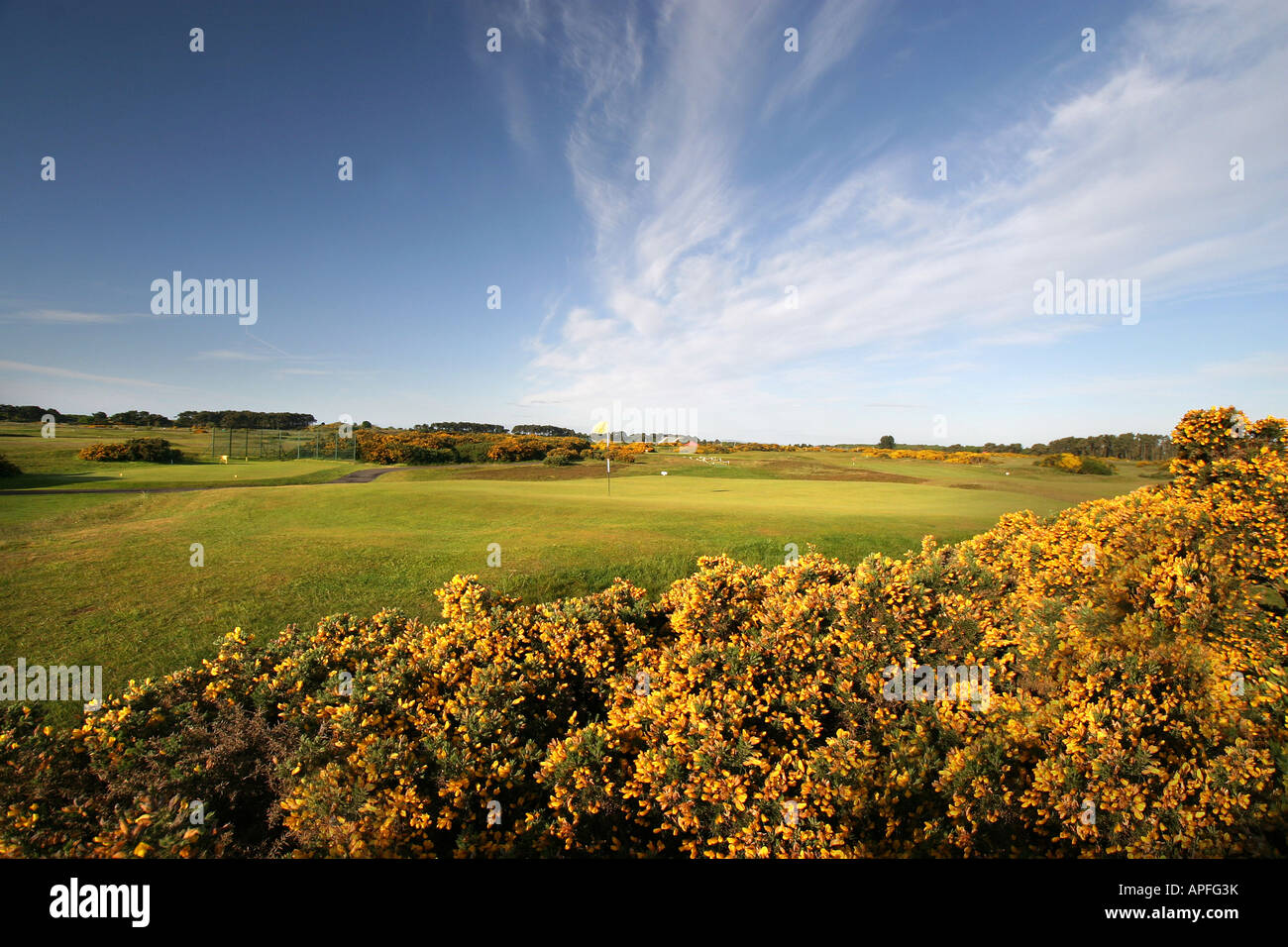 Burnside course 9th hole Carnoustie golf Links scotland Stock Photo - Alamy