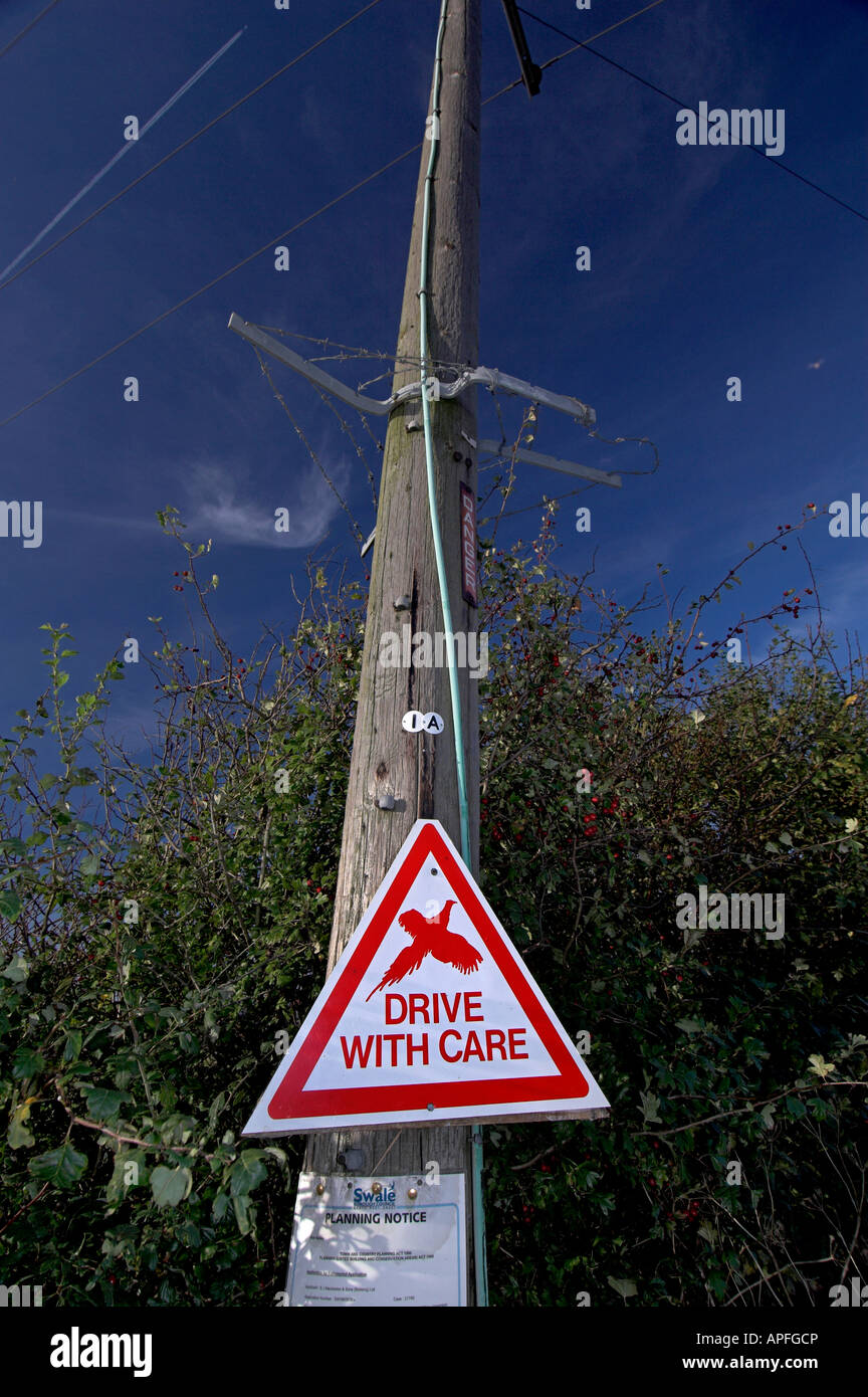 Pheasant game bird warning sign hi-res stock photography and images - Alamy