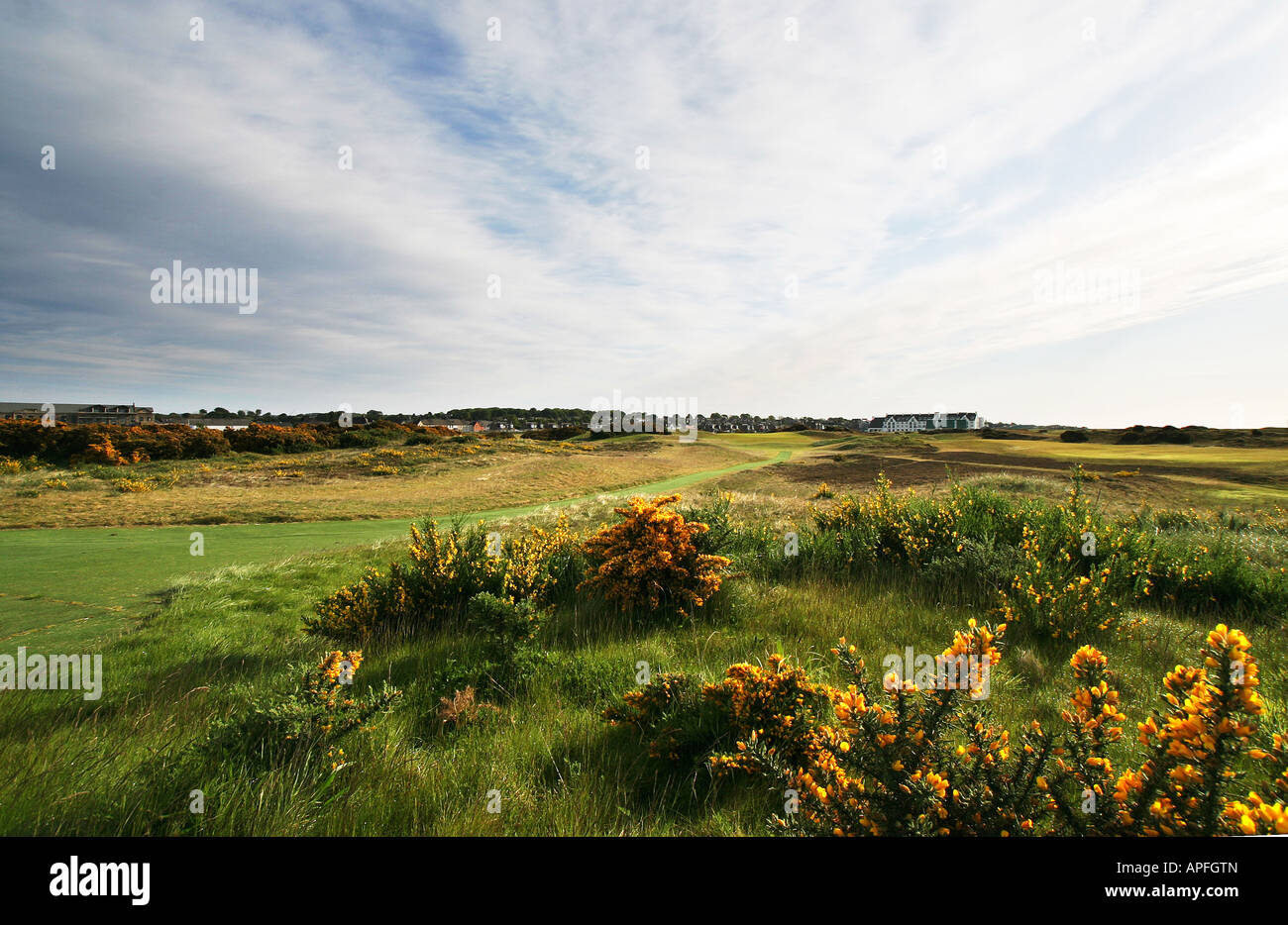 Burnside course 14th hole Carnoustie golf Links scotland Stock Photo ...