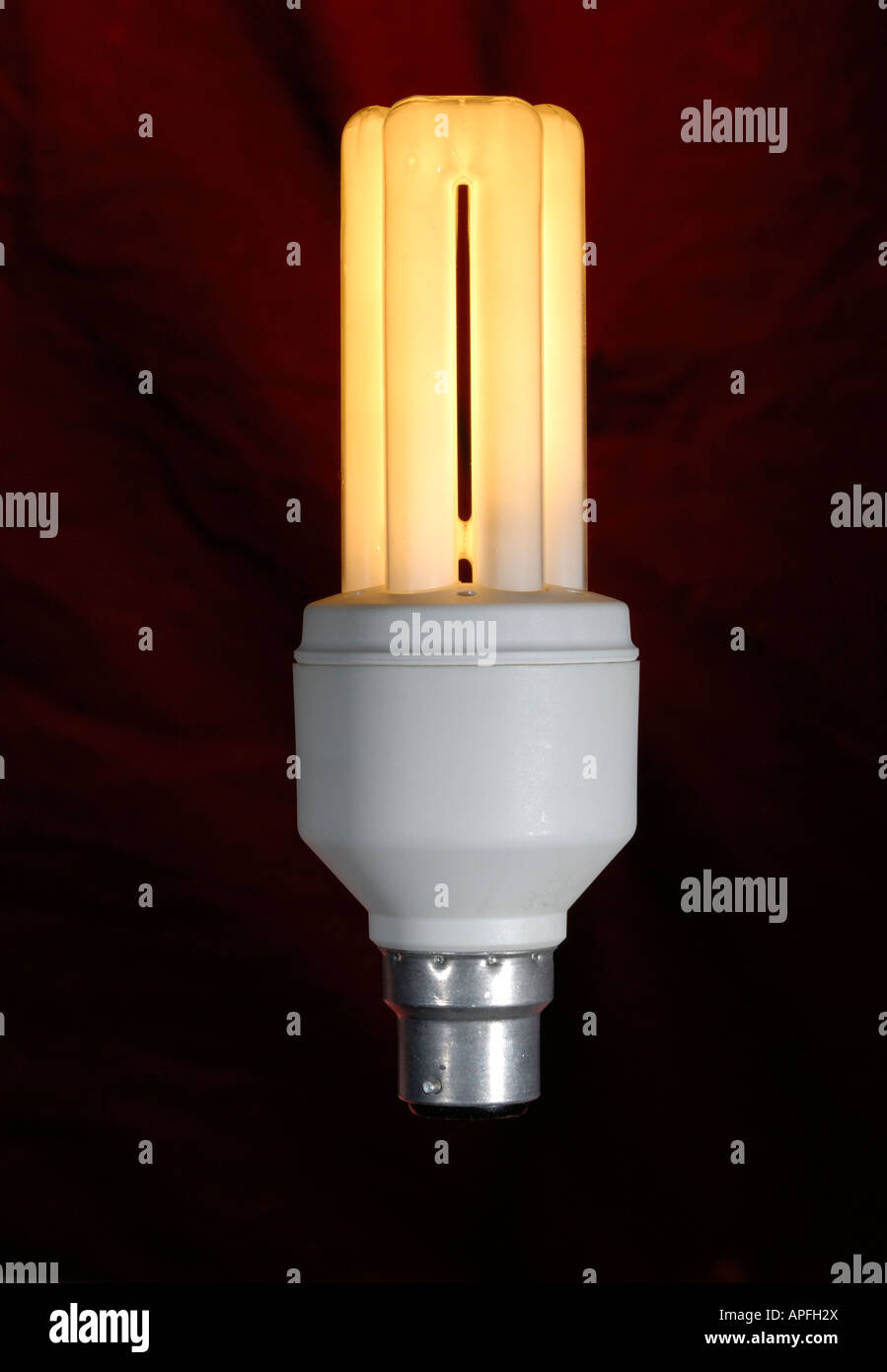 energy saving light bulb Stock Photo - Alamy