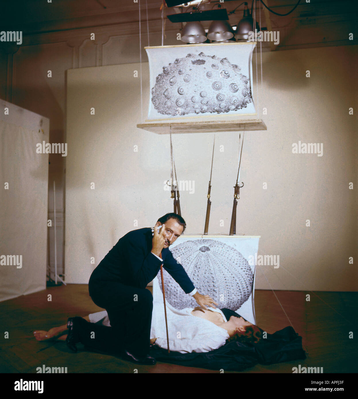 Rhinoceros story hi-res stock photography and images - Alamy