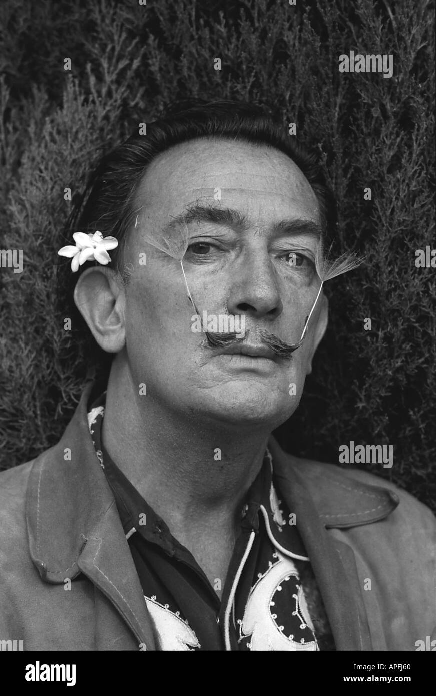 Portrait of Dali with a jasmine 1959 Stock Photo - Alamy