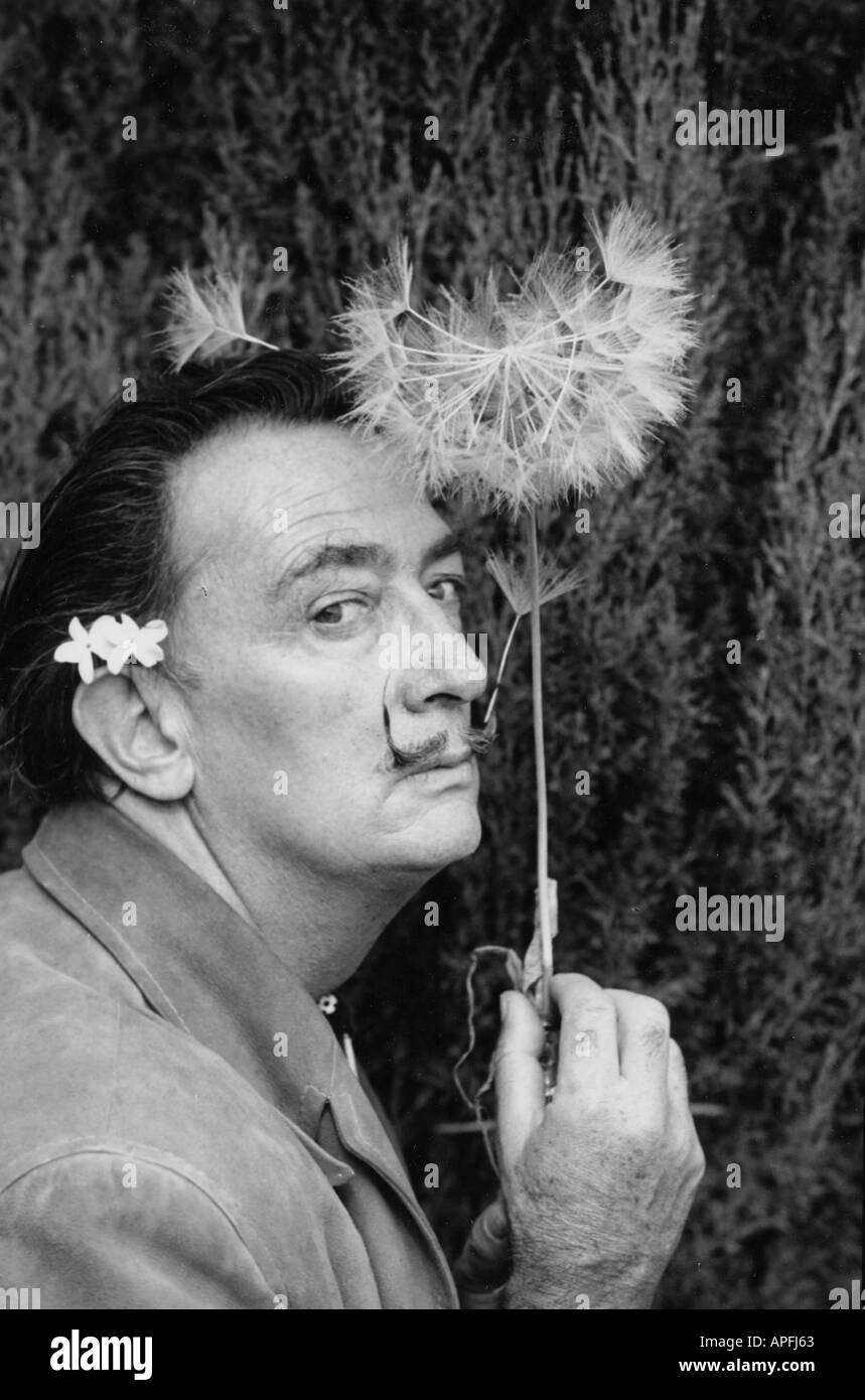 Dali holding a dandelion flower Stock Photo - Alamy