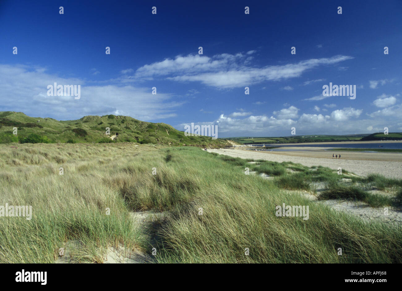 The beach at Rock, Cornwall UK Stock Photo - Alamy