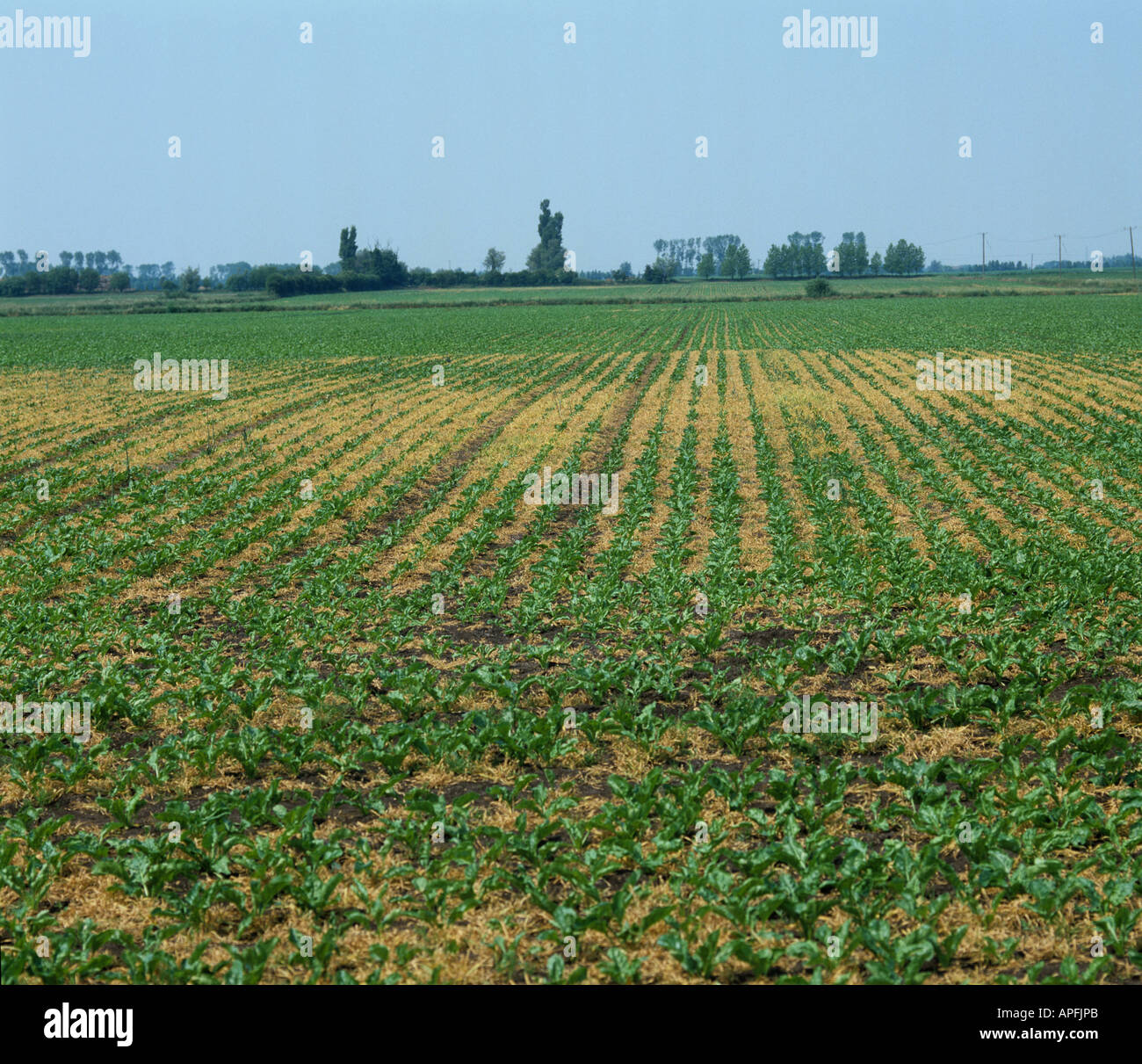 Soil erosion control hi-res stock photography and images - Alamy
