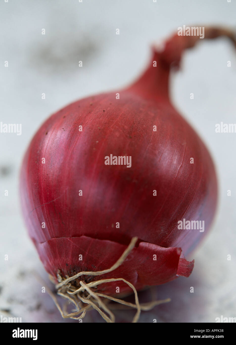 Red onion on metal tray with soil Stock Photo - Alamy