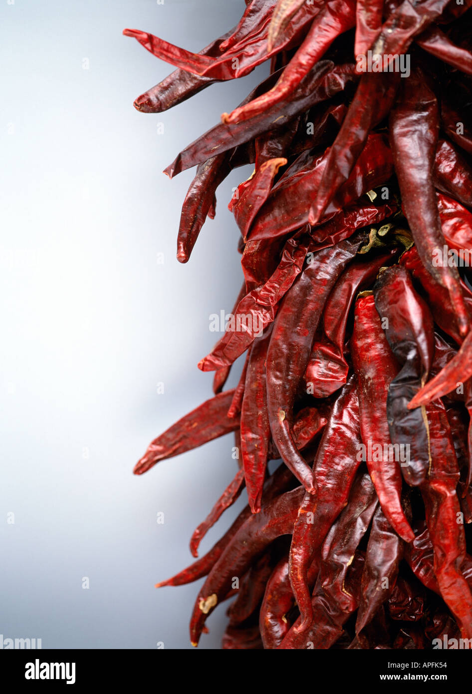 Dried chillies hanging on pale blue background Stock Photo - Alamy