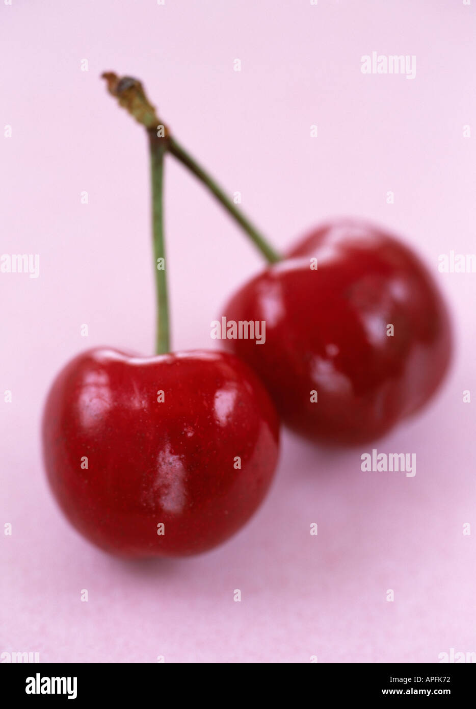 Two joined red cherries on pink background Stock Photo - Alamy