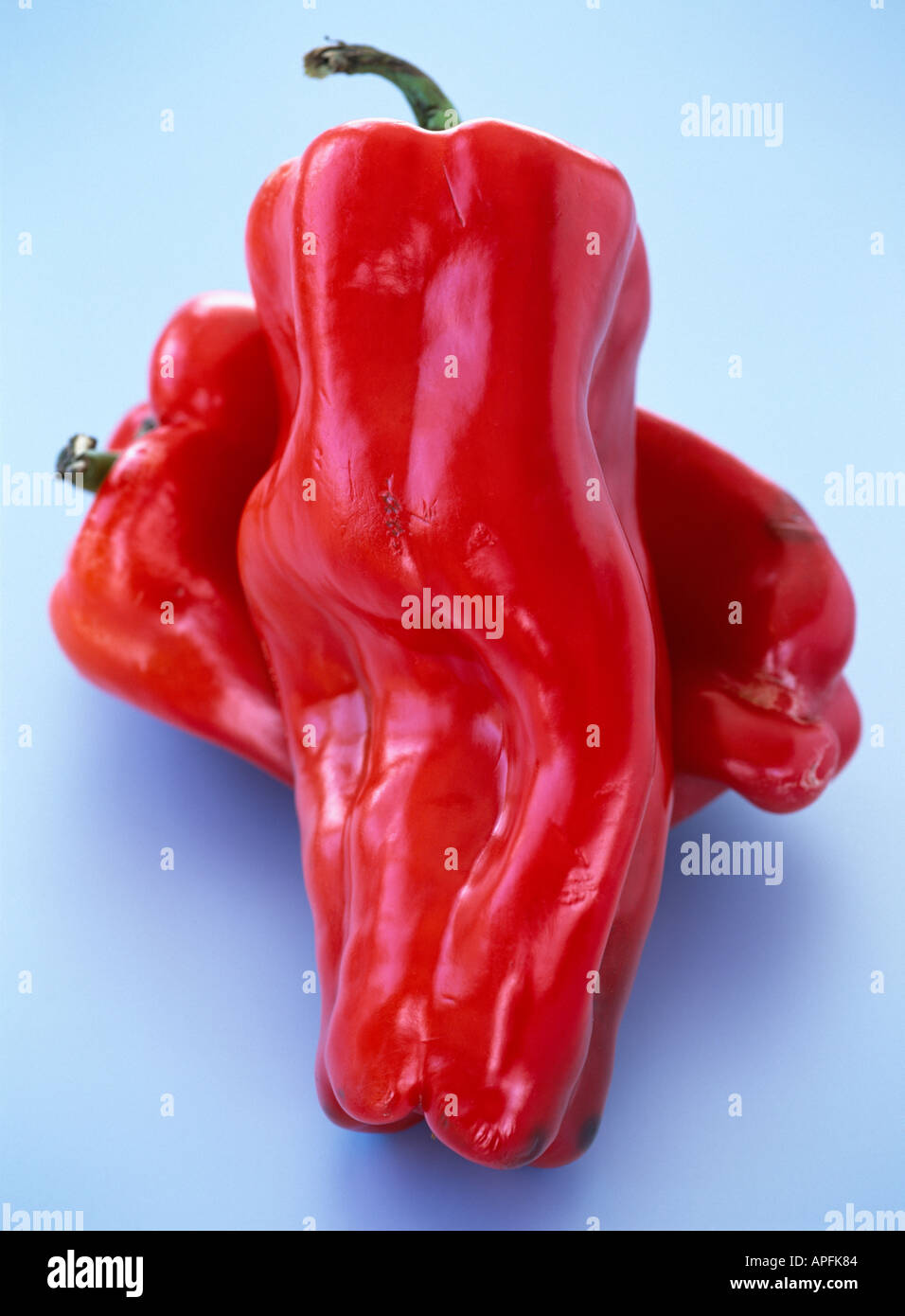 Whole red peppers on pale blue background Stock Photo - Alamy