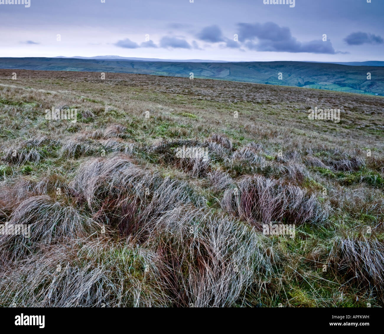 The bleak grassy landscape of Kevelin Moor in Allendale, Northumberland ...