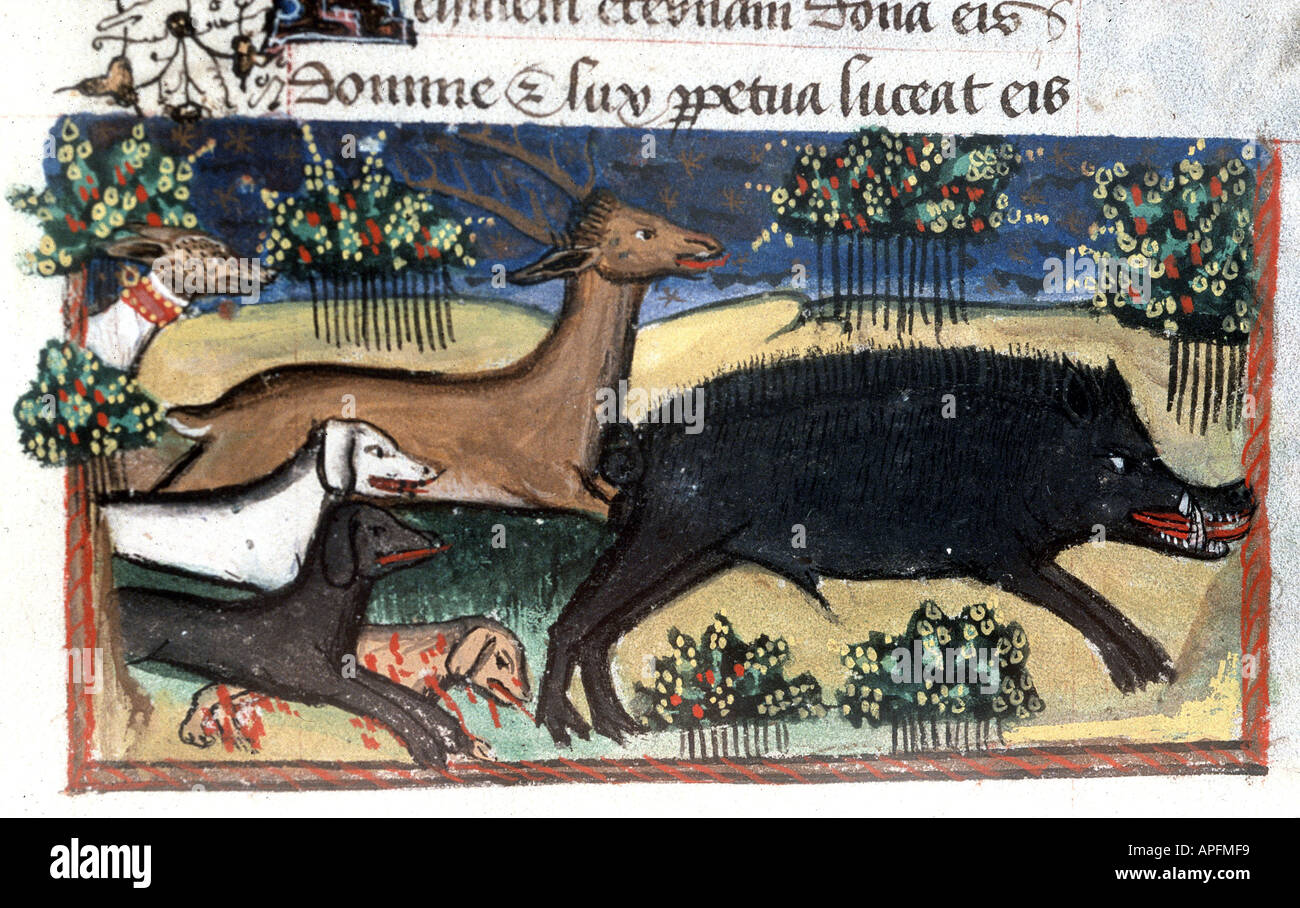 Manuscript of the Hours of Rohan Montauban Cynegetic story boar doe and ...