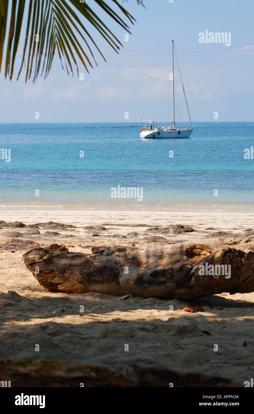 Punta popy beach hi-res stock photography and images - Alamy