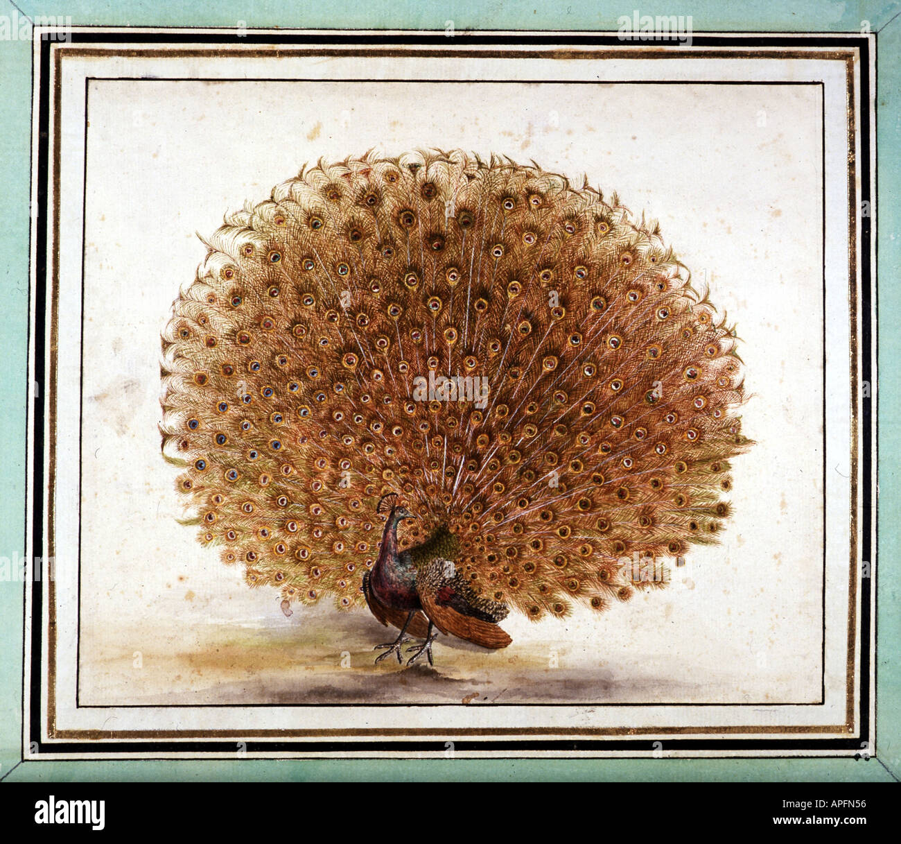 Manuscript brisson hi-res stock photography and images - Alamy