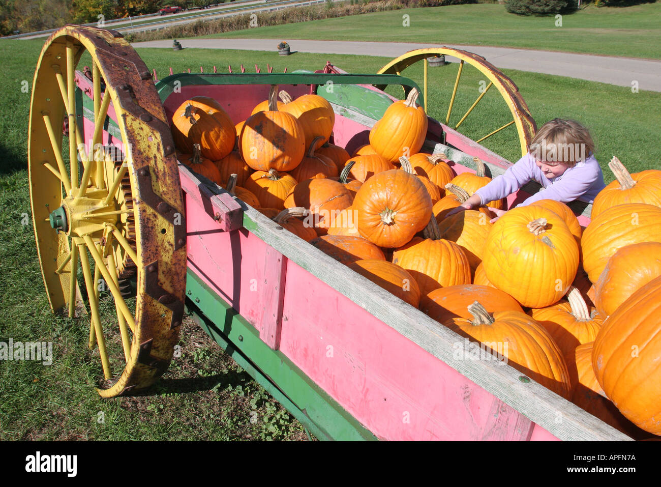 Michigan St. Johns,Uncle John's Cider Mill,pumpkins,antique wagon,girl ...