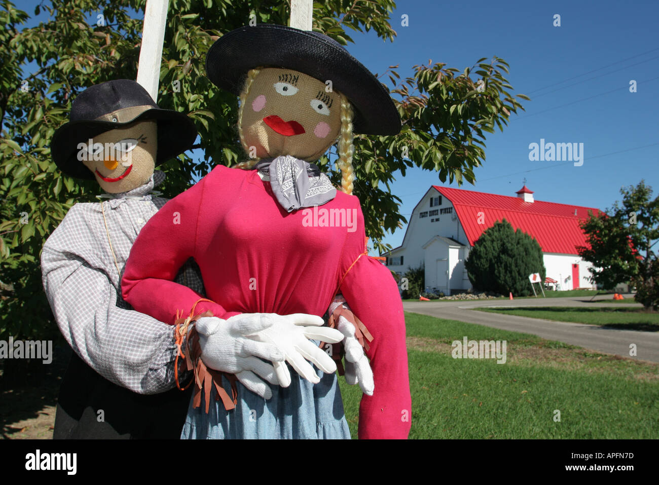 Making a scarecrow hi-res stock photography and images - Alamy