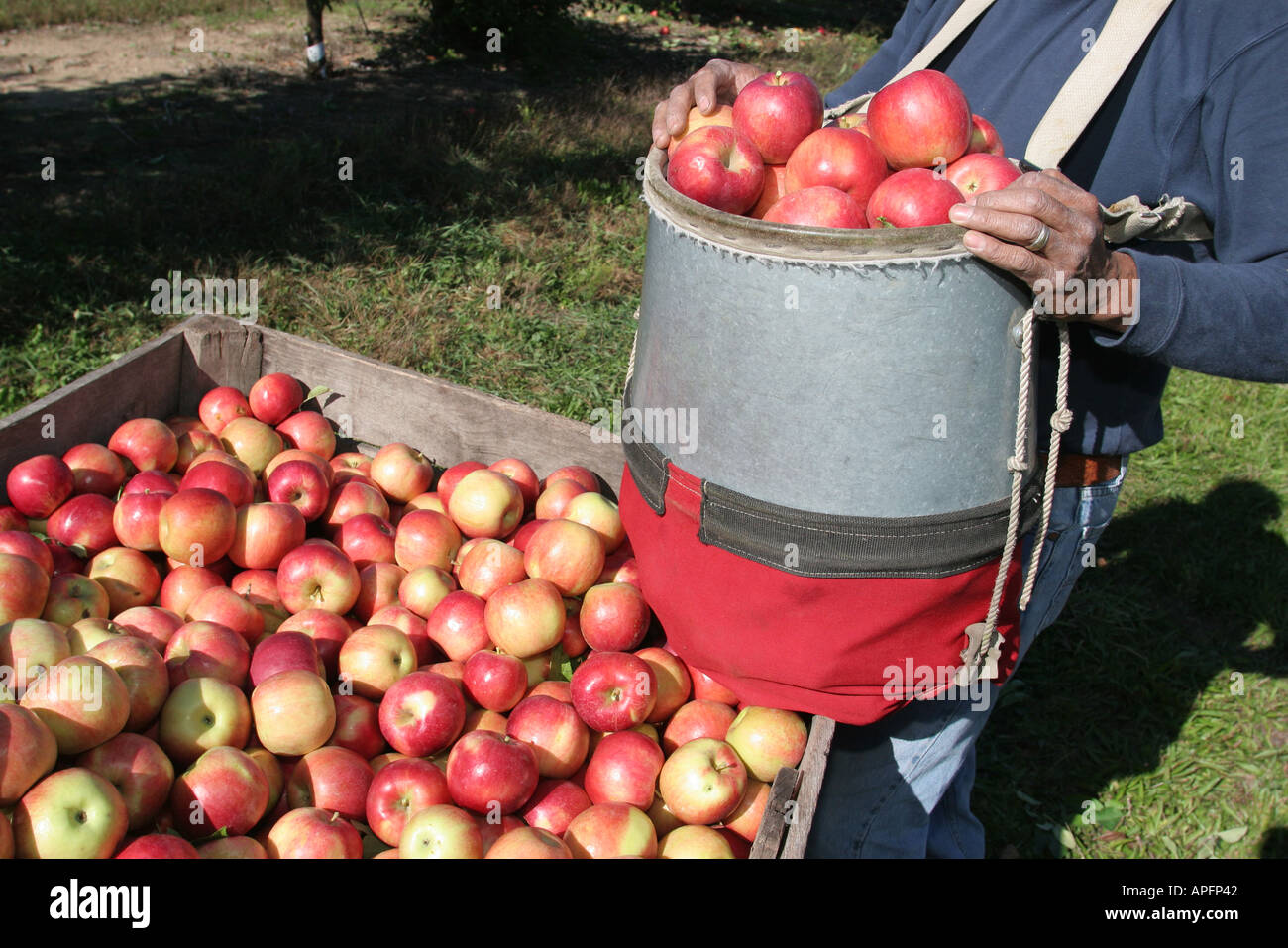 Group of pickers hi-res stock photography and images - Alamy