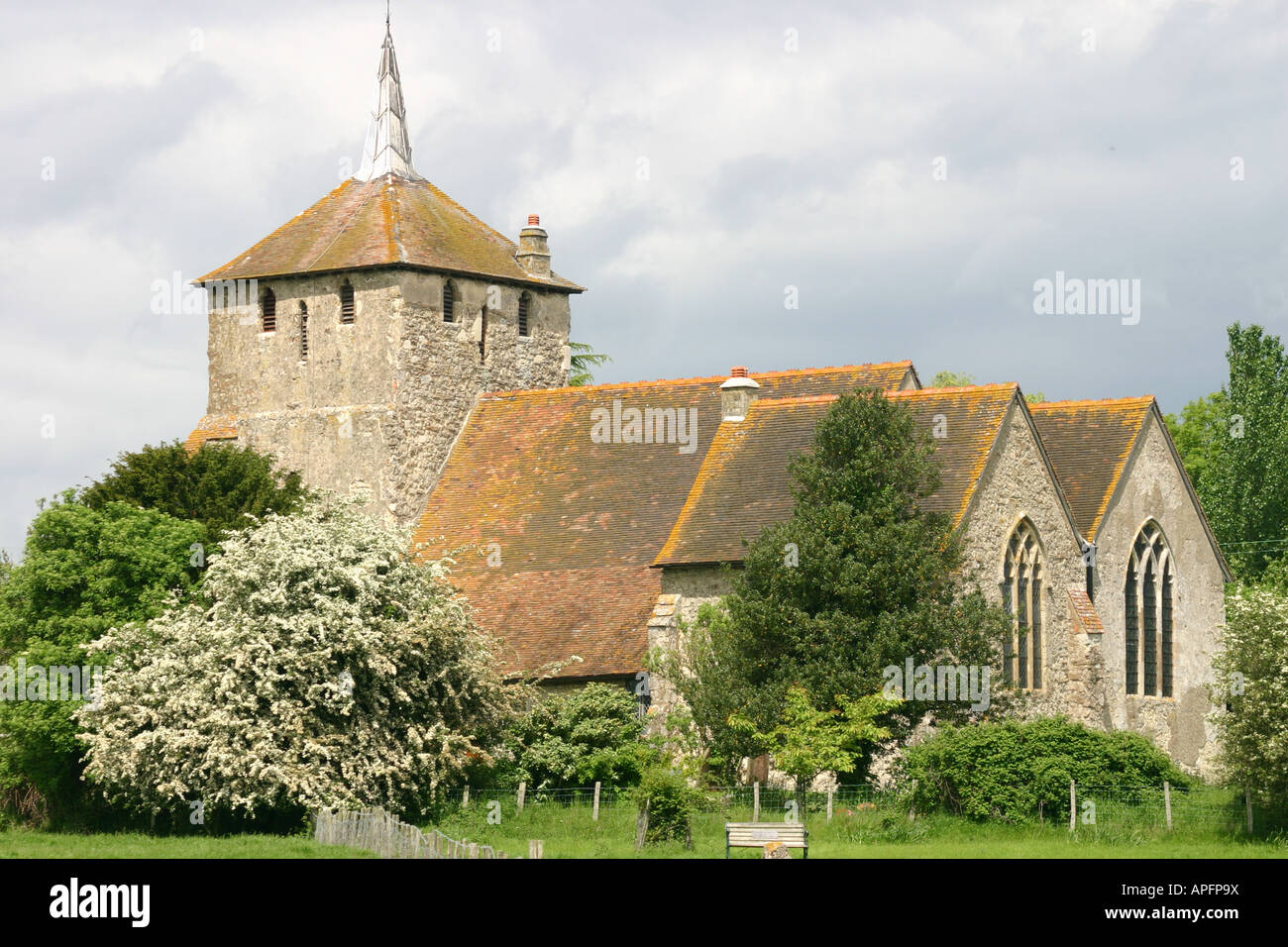 Summer trees hi-res stock photography and images - Alamy