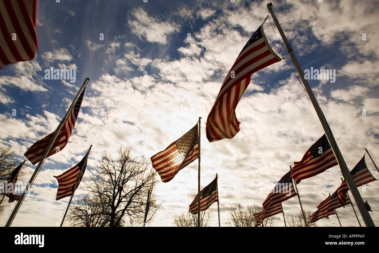 A group of American flags Stock Photo - Alamy