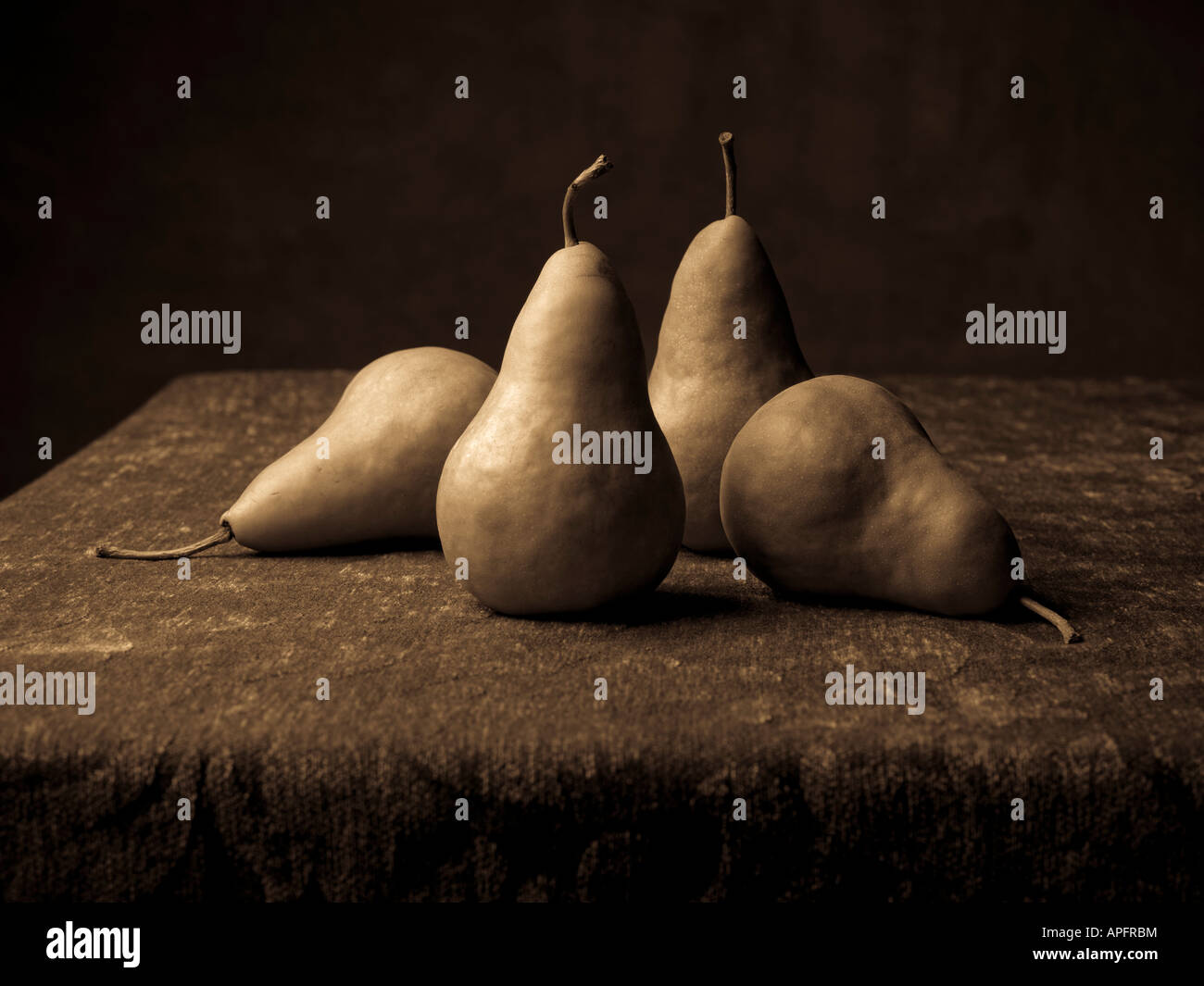 Bosc pear genus Pyrus family Rosaceae still life of pears on a table ...