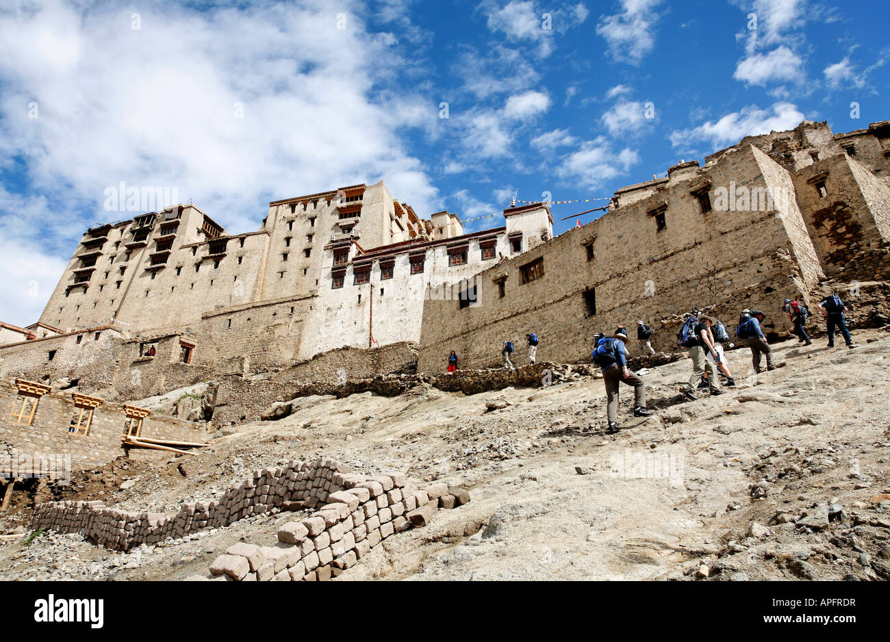 Leh Palace overlooking Leh Ladakh India Stock Photo - Alamy