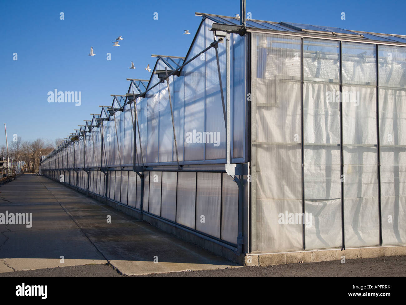 Flying greenhouse hi-res stock photography and images - Alamy