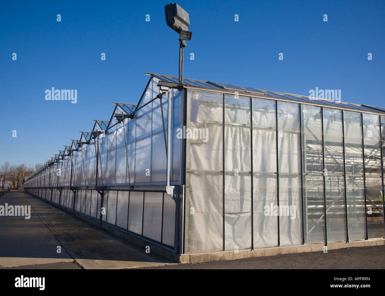 Greenhouse with video camera above Stock Photo - Alamy