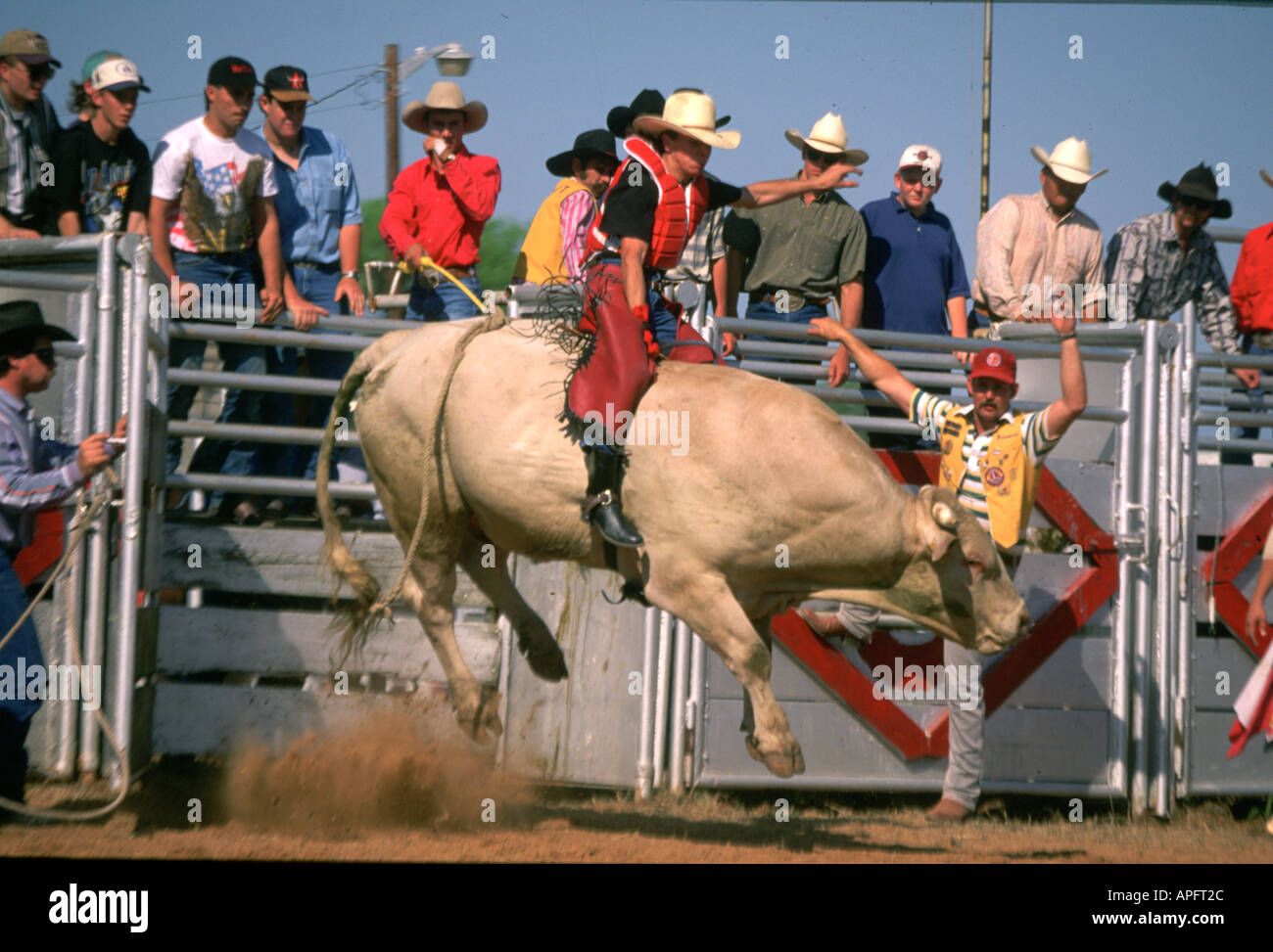 Kicking bull hi-res stock photography and images - Alamy
