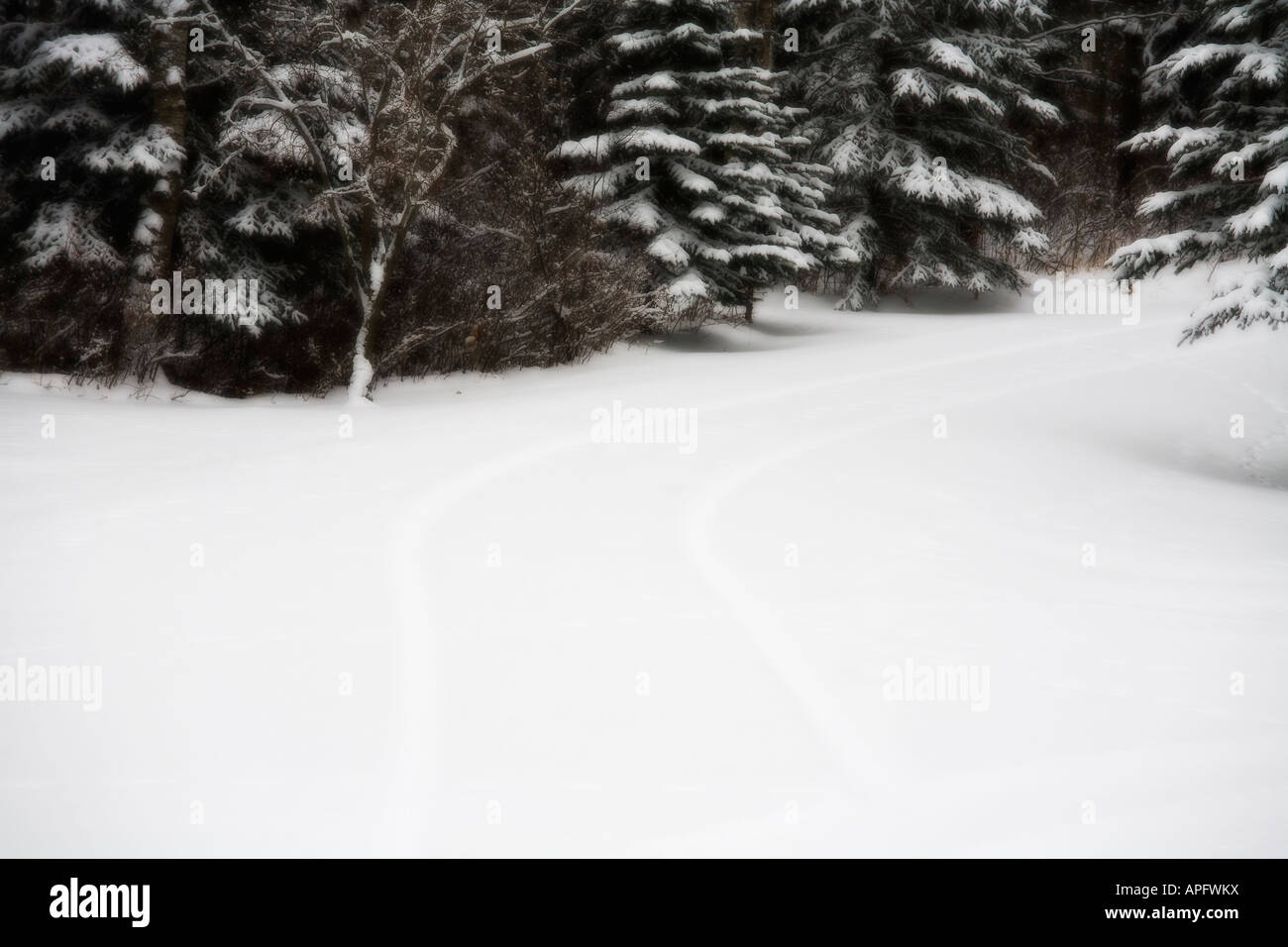 Freshtracks hi-res stock photography and images - Alamy