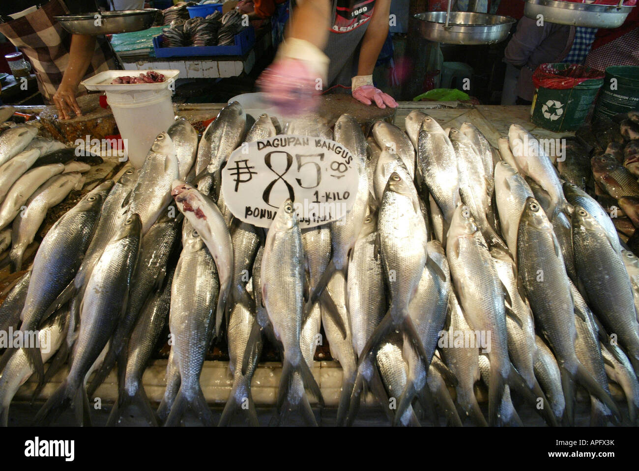 Bangus hi-res stock photography and images - Alamy