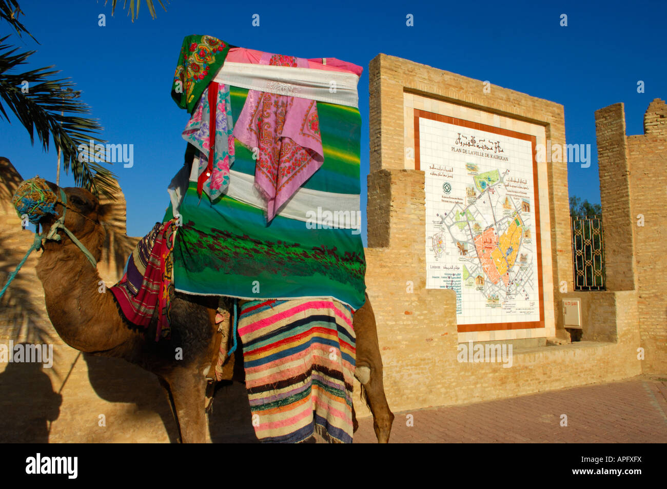 A camel ride awaits outside the tourist office by the Aghlabid Basins ...