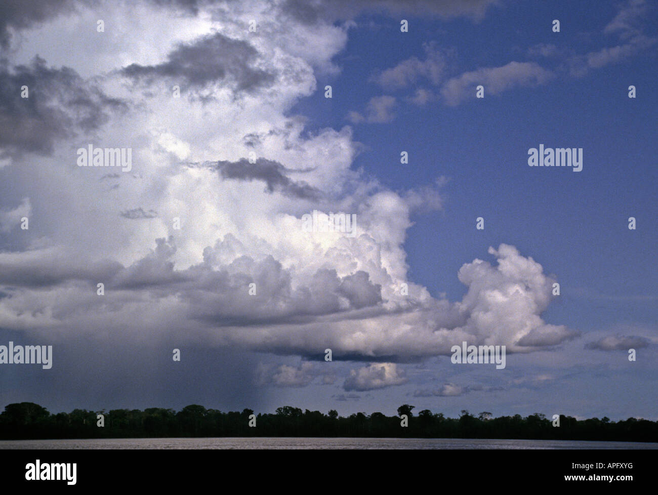 Rain cloud seen from Amazon River, Peru Stock Photo - Alamy