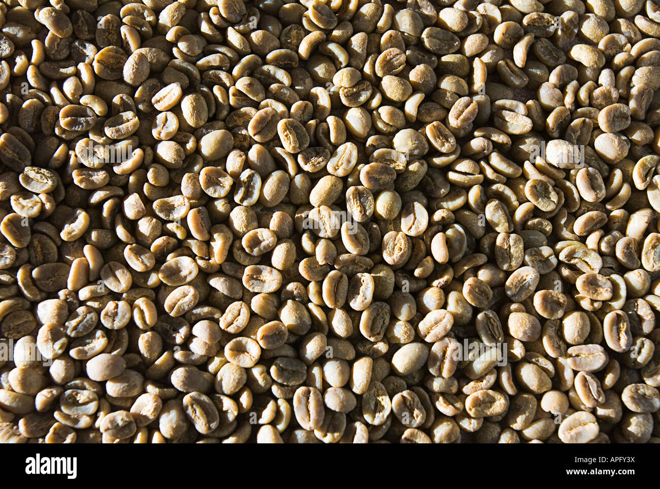 Unroastedcoffee hi-res stock photography and images - Alamy
