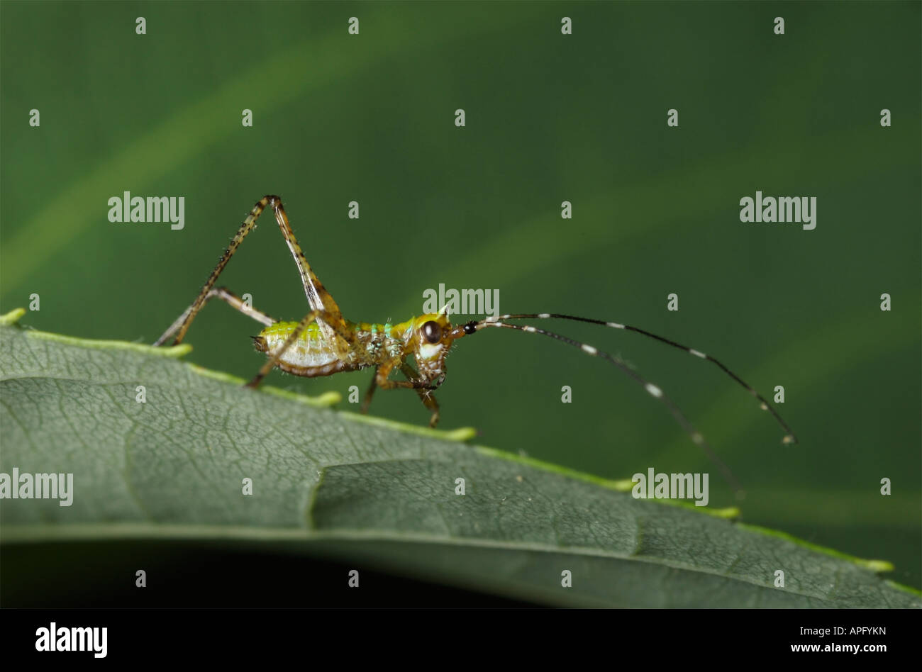 Sudder hi-res stock photography and images - Alamy