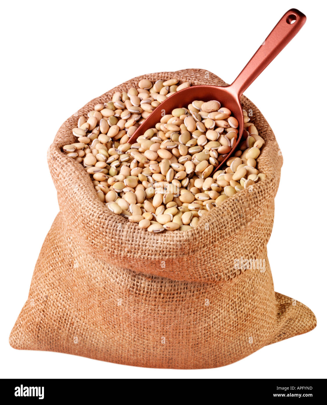 Val dal Cut Out Stock Images & Pictures - Alamy