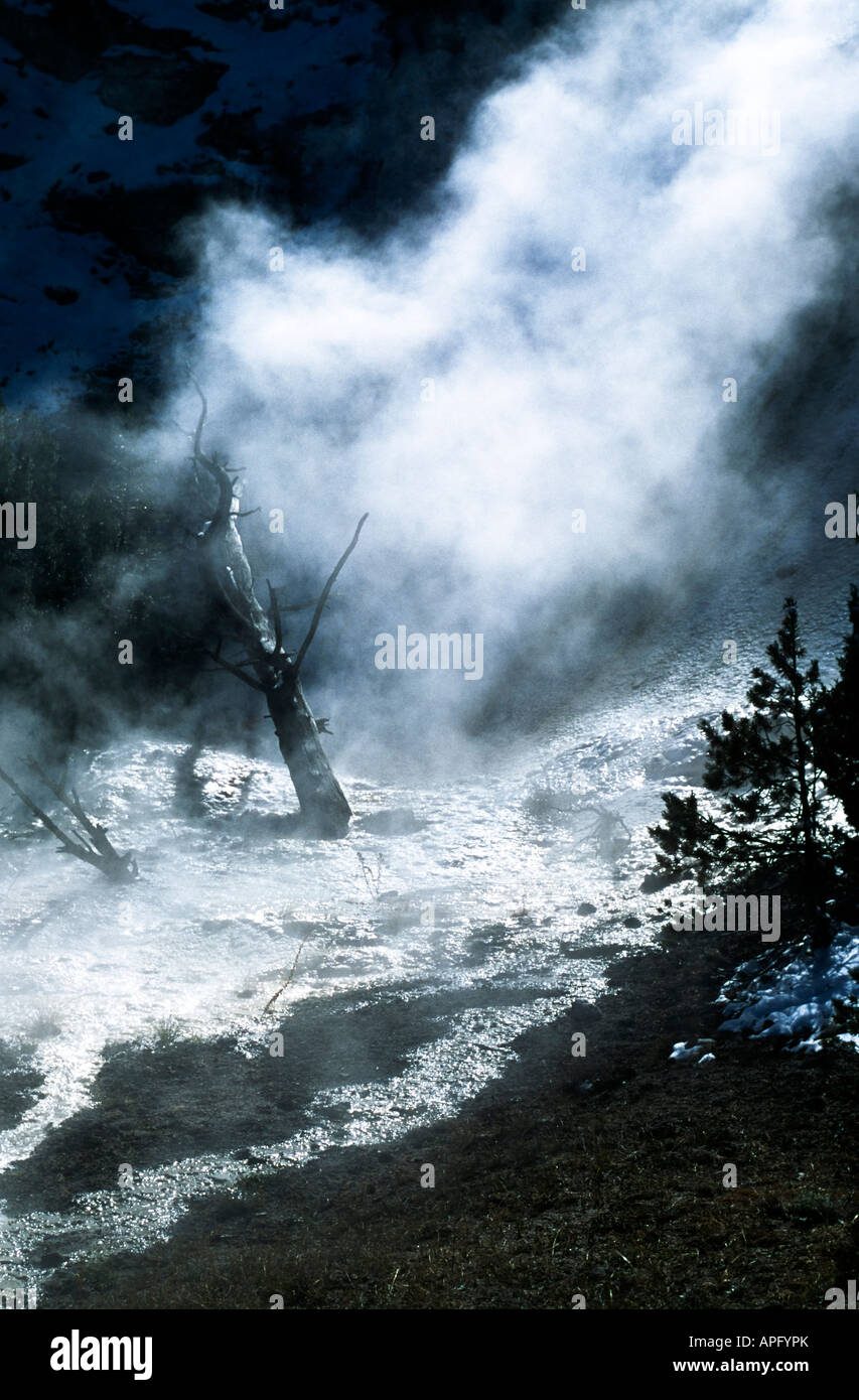 Yellowstone nationalpark yellowstone nationalpark hi-res stock ...