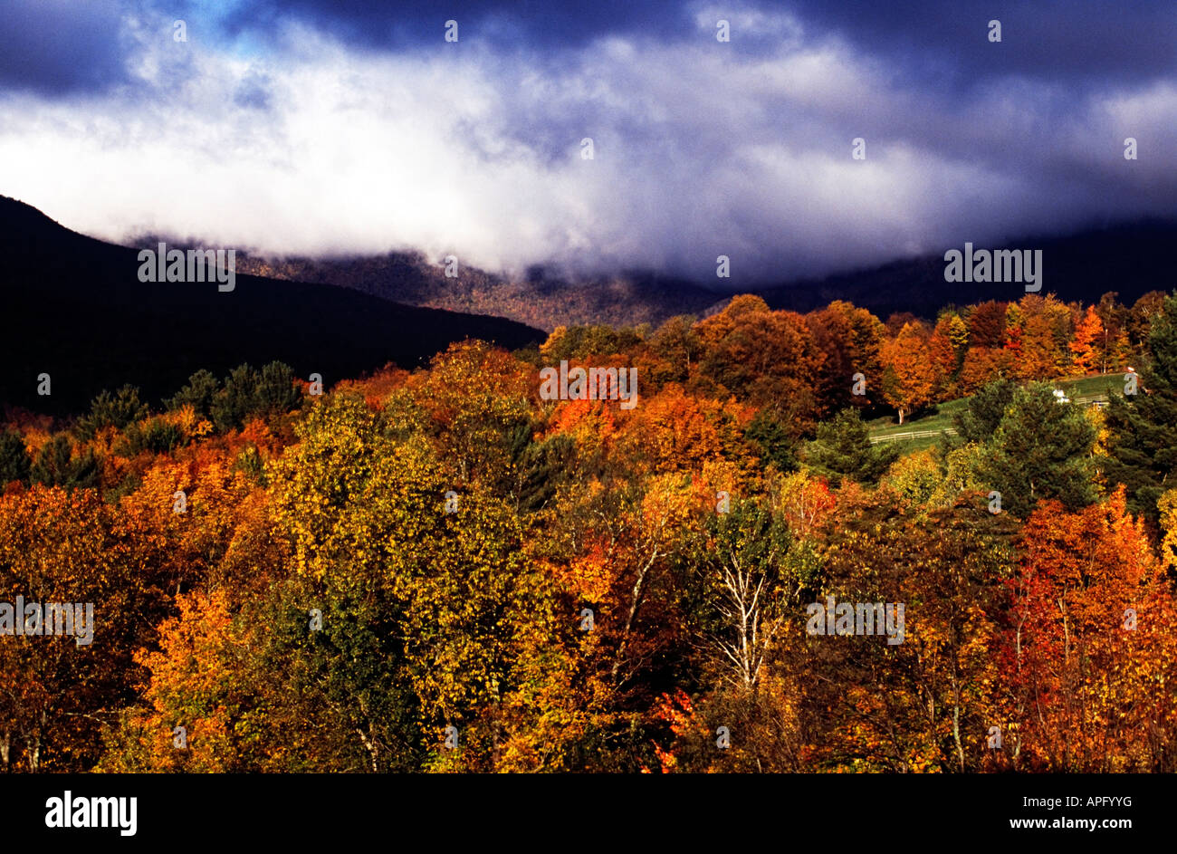 Vermont trees hi-res stock photography and images - Alamy