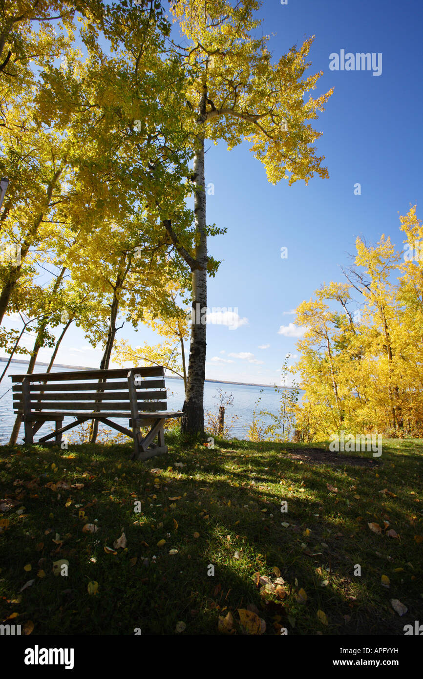 Bench in a lake hi-res stock photography and images - Alamy