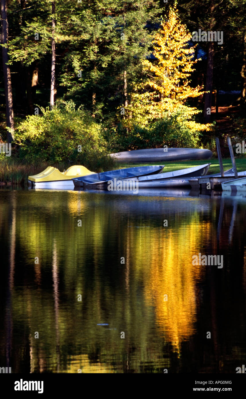 Reflections on a lake Stock Photo - Alamy