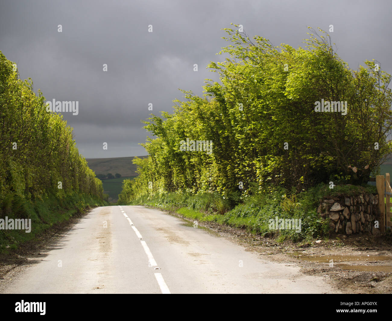 Open country hi-res stock photography and images - Alamy