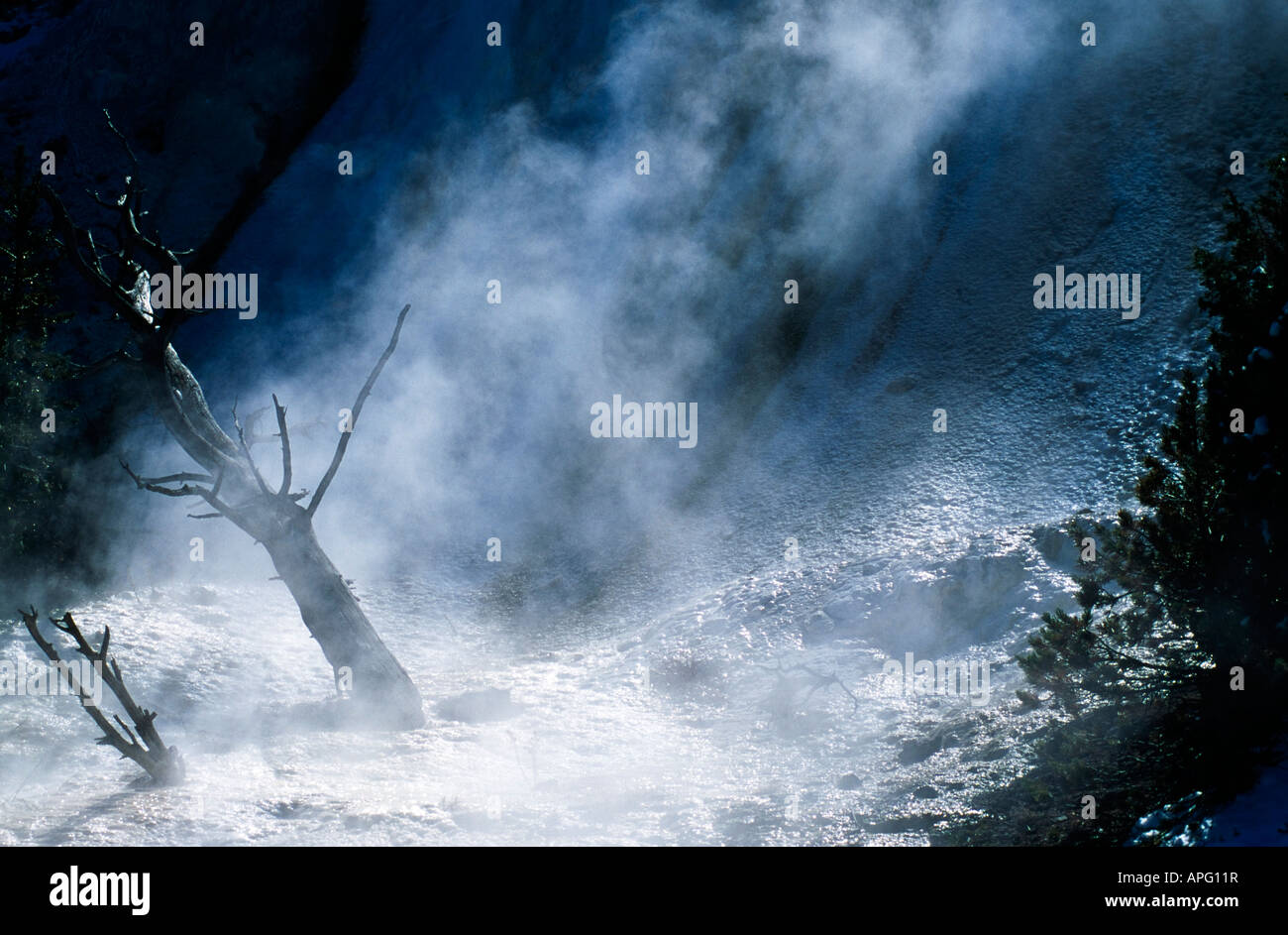 Steam rising from hot spring Stock Photo - Alamy