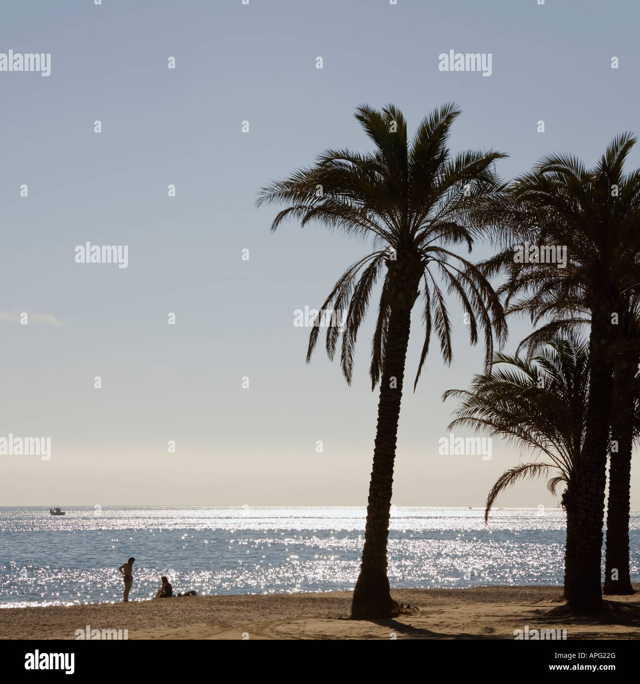 Torremolinos Malaga Province Costa del Sol Spain Palm trees and bathers ...