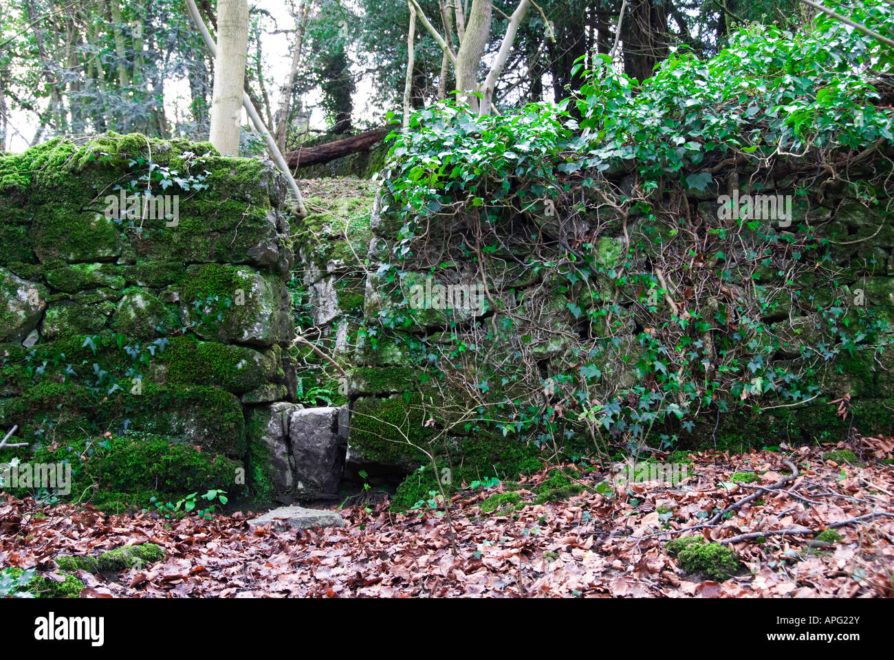 stile in limestone wall Stock Photo - Alamy