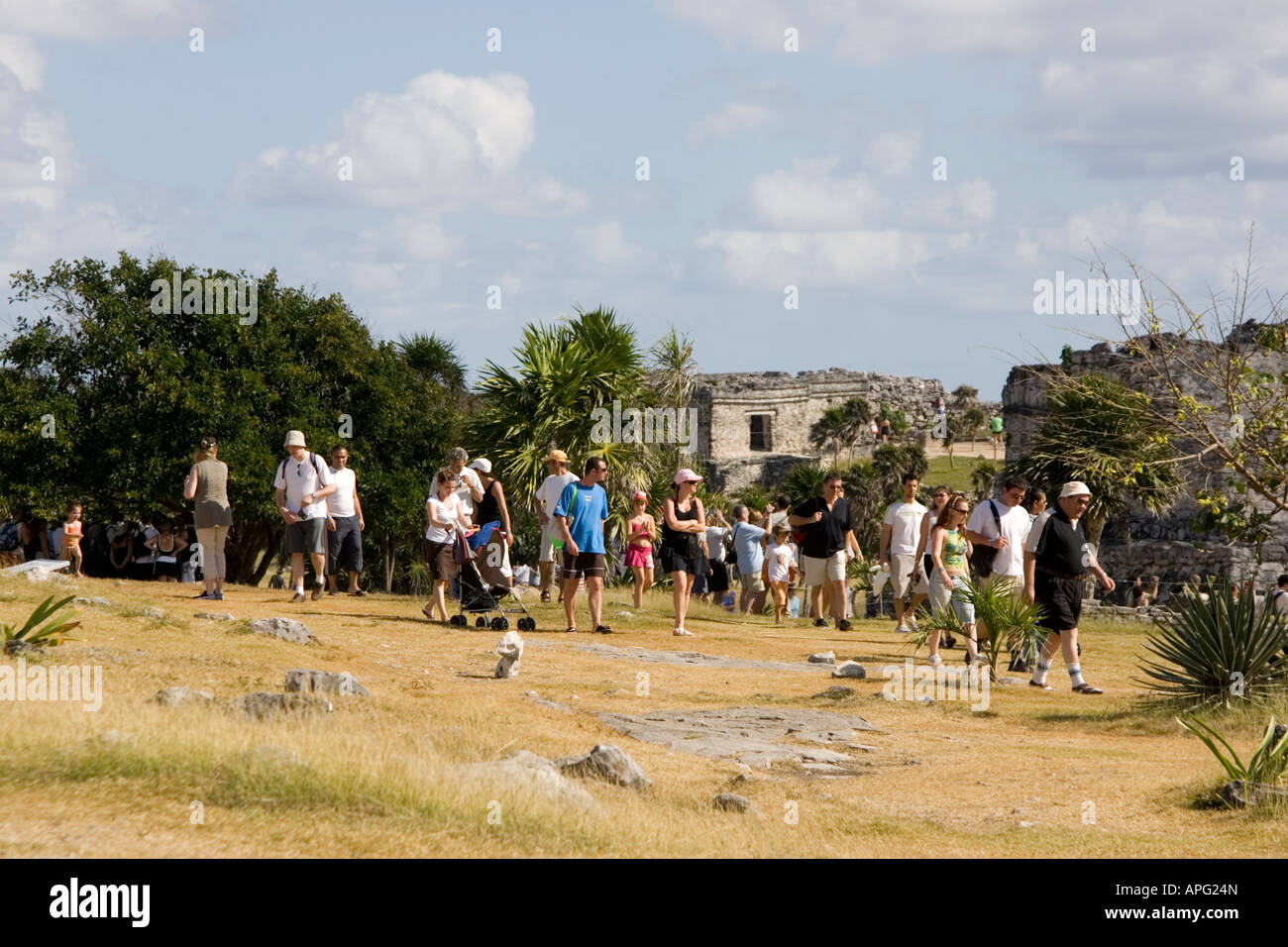 Ancient pathway tulum ruins hi-res stock photography and images - Alamy