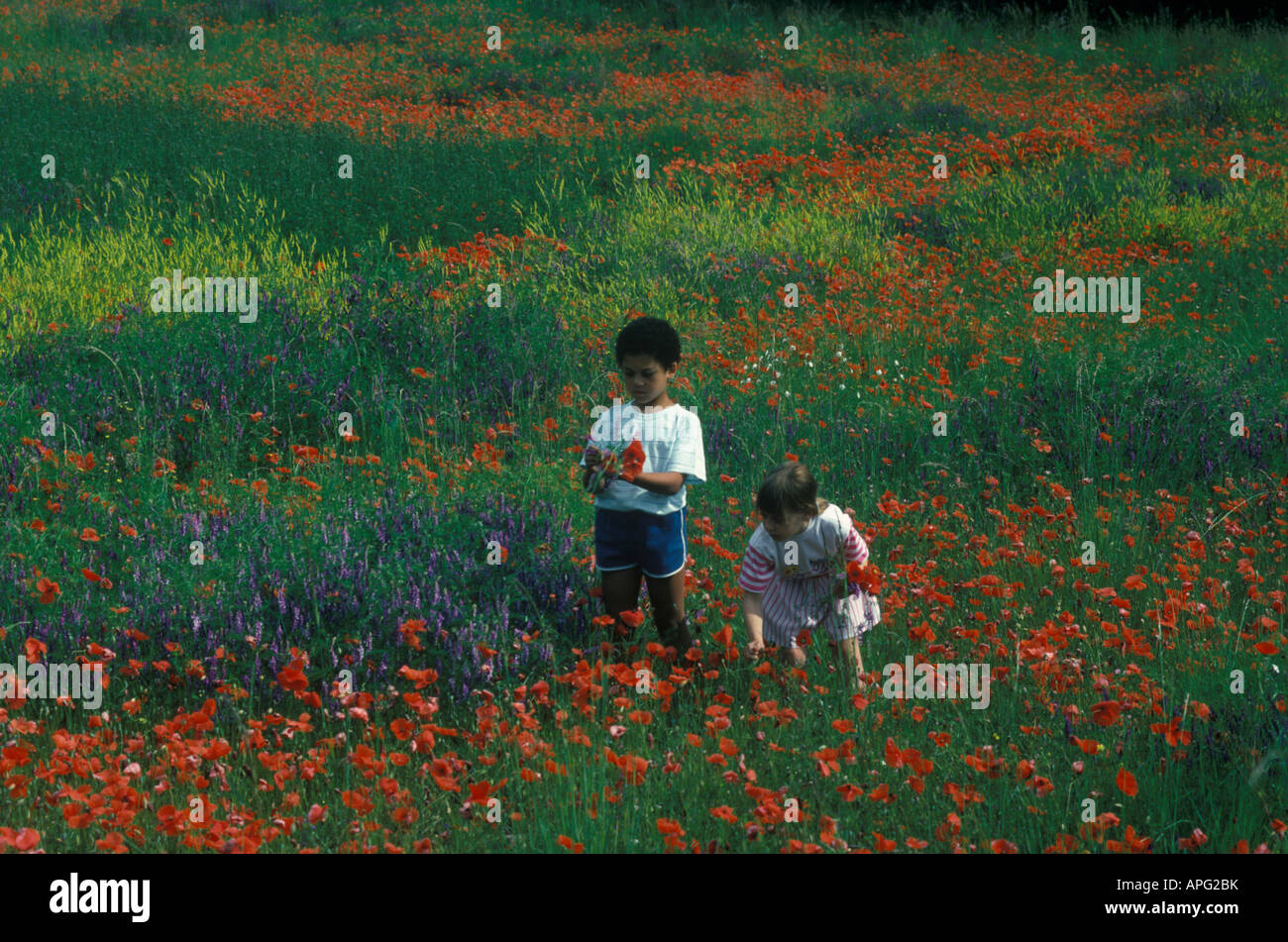 Child in country flowers hi-res stock photography and images - Alamy