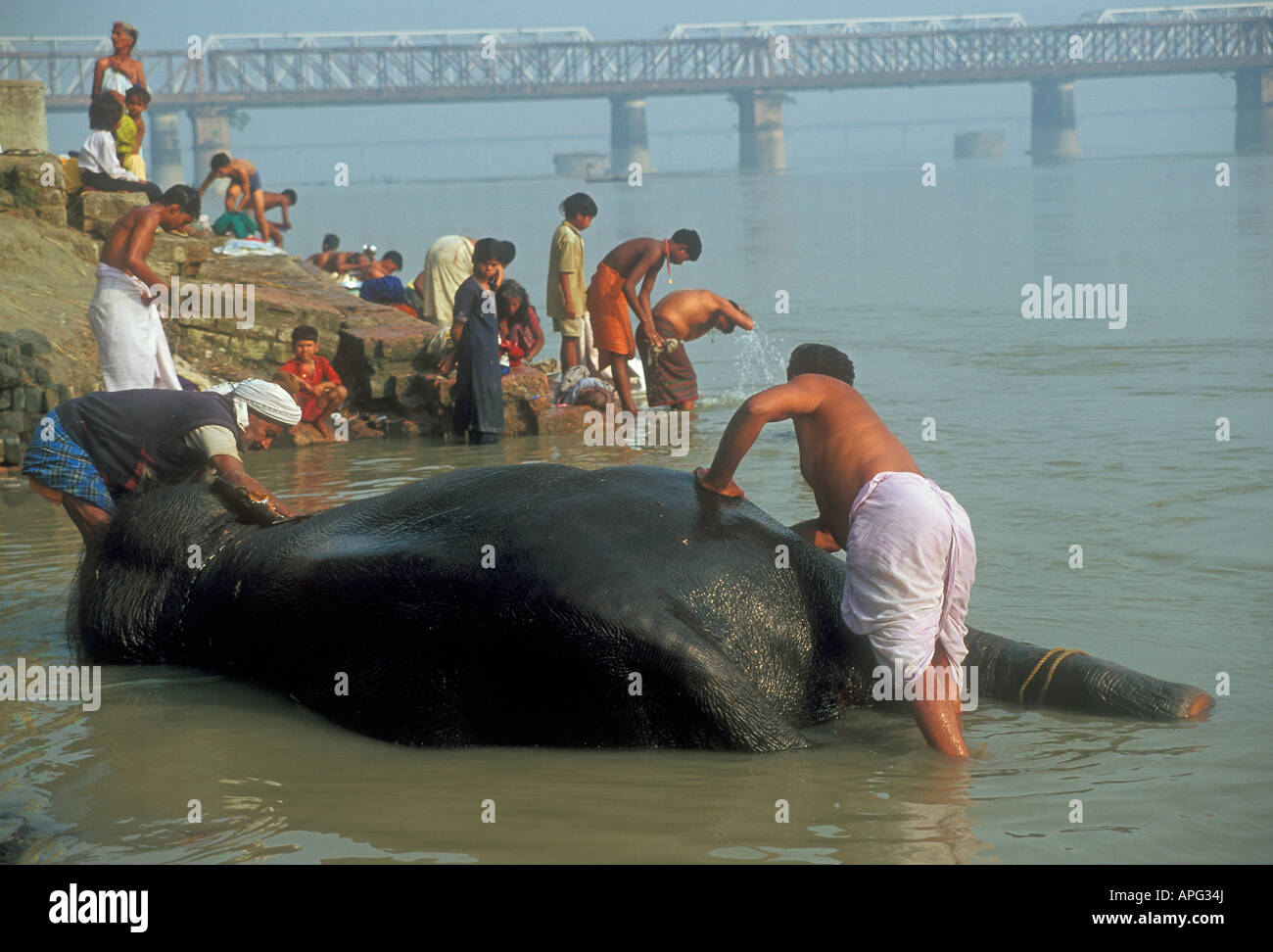 Sonepur Fair, Bihar, India Stock Photo - Alamy