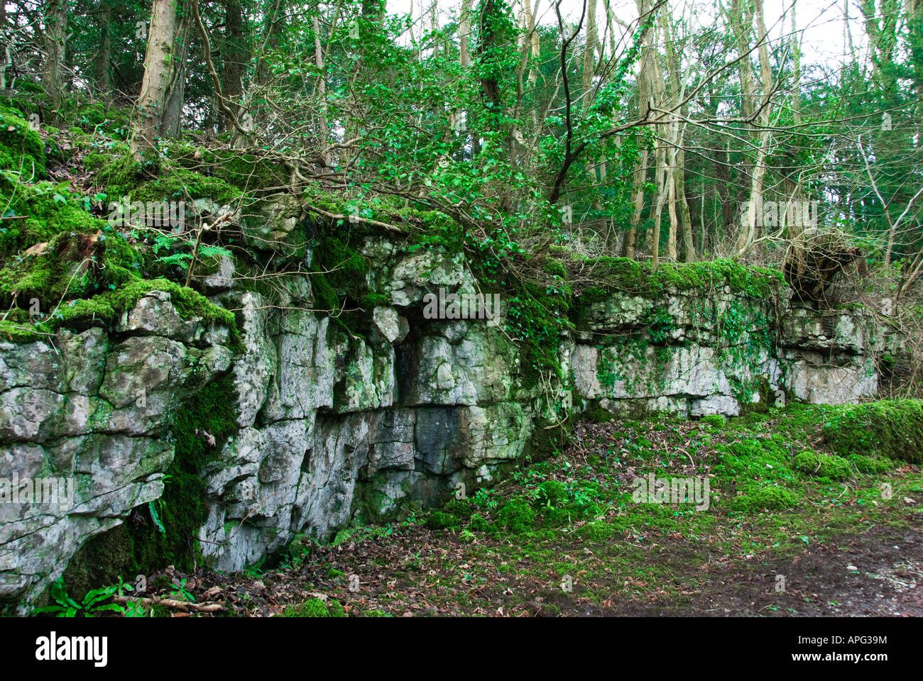 Woods outcrop hi-res stock photography and images - Alamy